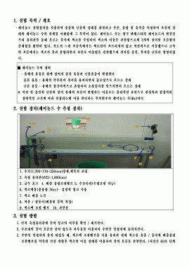 레이놀드수 실험-1페이지