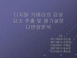 디지털 카메라의 감성요소 추출 및 평가설문 다변량분석-1페이지