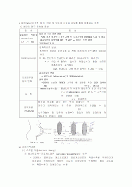 분만 과정-1페이지