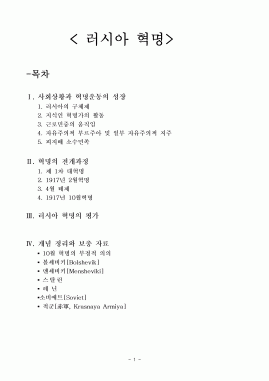 러시아혁명 2월 혁명, 10월 혁명-1페이지