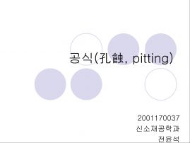 공식(孔蝕, pitting)-1페이지