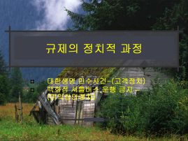 규제의 정치적 과정-1페이지