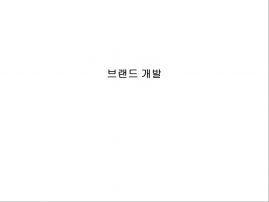 브랜드 개발-1페이지