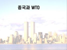 중국의 WTO가입 경제 영향-1페이지