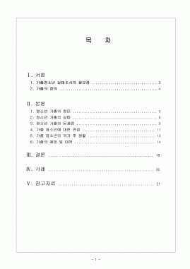 (청소년문제) 청소년 가출의 실태와 사례 및 해결방안-1페이지