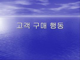 고객 구매 행동-1페이지