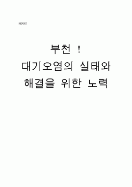 부천시의 대기오염의 원인.실태.해결방법등에 대한 조사-1페이지