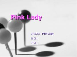 여성 의류 전문 쇼핑몰 사업계획서 [ Pink Lady ] (온*오프라인매장)-1페이지