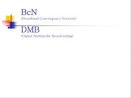 BCN과 DMB-1페이지