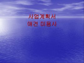 사업계획서-애견미용사-1페이지