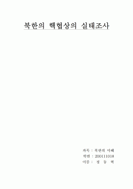 북한의 핵협상 실태조사-1페이지