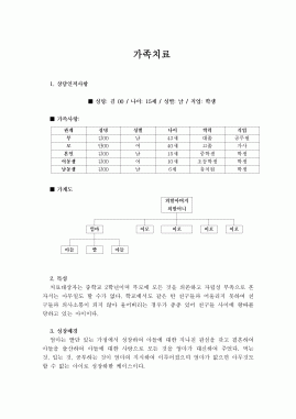 (가족치료) 가족치료 사례적용 보고서-1페이지