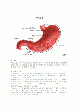 위암에 대한 조사-1페이지