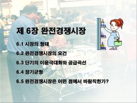 완전경쟁시장의 요건-1페이지