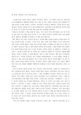 내 머리로 생각하는 역사이야기에 관한 서평-1페이지