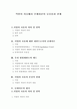 직업의 자유에서의 단계성이론-1페이지