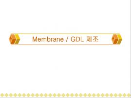 Membrane / GDL 제조-1페이지