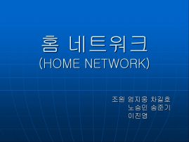 홈 네트워크(HOME NETWORK)산업전망과 정책방향-1페이지
