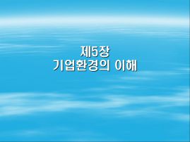 [인문과학] 기업환경의 이해-1페이지