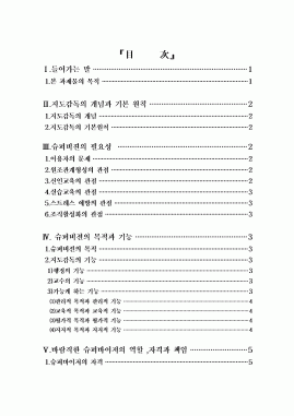 지도감독과 사회복지실천에 관한 고찰-1페이지