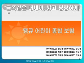 [보험/마케팅]신 보험 상품 개발 및 마케팅 전략-1페이지