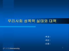 우리사회 성폭력 실태와 대책-1페이지