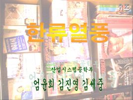 한류열풍 사례-1페이지