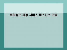 특허정보 제공 서비스 인터넷 비즈니스 모델-1페이지