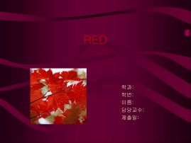 색채 RED-1페이지