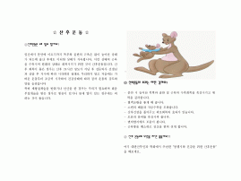 (모성간호학) 산후운동-1페이지