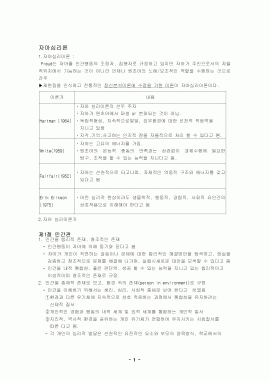 자아심리이론에 대한 이해와 사회복지-1페이지