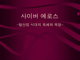 (사이버)사이버에로스[사이버상의 에로스에대해정리]-1페이지