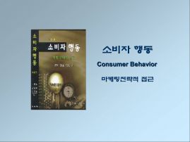 (소비자)소비자행동 마케팅전략적 접근-1페이지