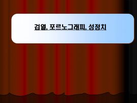 [성과윤리]에로티시즘 포르노 그라피와 검열-1페이지