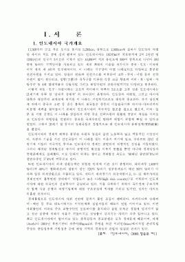 인도네시아 지역연구-1페이지