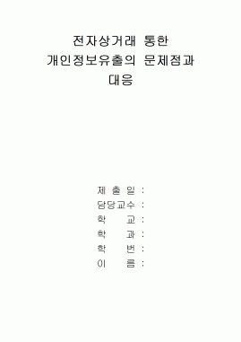 전자상거래상의 개인정보유출범죄의 실태분석과 대응방안-1페이지