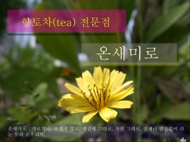 사업계획보고서-1페이지