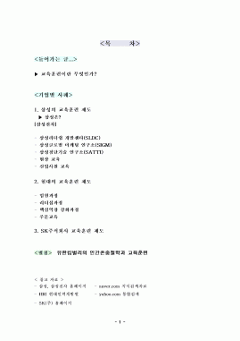 대기업의 교육훈련 사례(인사관리)-1페이지