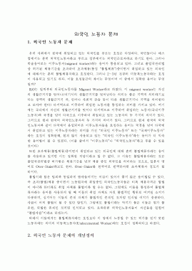 외국인 노동자 문제 이주노동자 불법체류자 미등록노동자 산업기술연수생 사회문제 고용허가제-1페이지