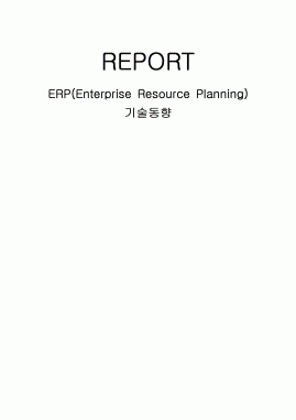 ERP(Enterprise Resource Planning)기술동향-1페이지