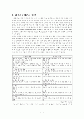 교육공학 중 다중지능이론에 대한 정리자료-1페이지