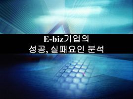 e-biz기업 성공, 실패 사례-1페이지