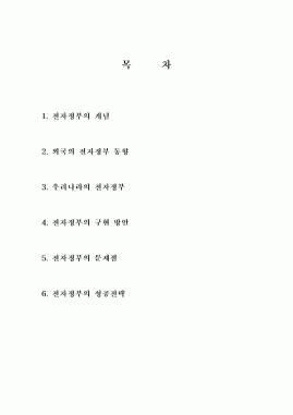 전자정부의 구현과 문제점-1페이지