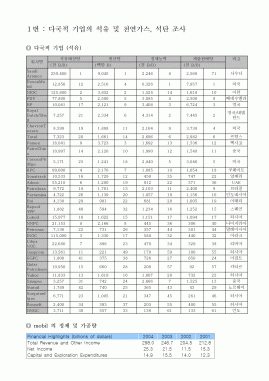 다국적 기업의 석유 및 천연가스, 석탄 조사 및 new glazing에 대하여 조사-1페이지