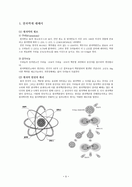 원자력과 환경에 대해서-1페이지