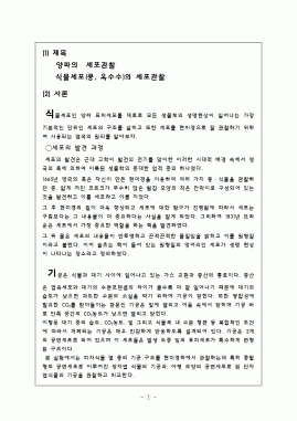 양파조직과 식물세포(콩, 옥수수)의 세포관찰-1페이지