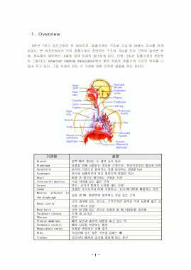 [간호학]호흡기계의 구조와 기능-1페이지