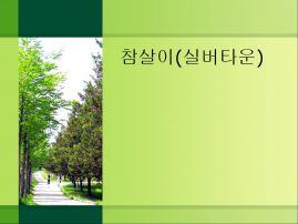 실버타운 사업계획서(A 자료)-1페이지