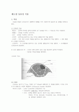 동물성 식품-1페이지