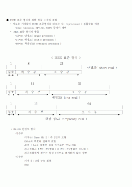 IEEE와 IBM의 floating point-1페이지